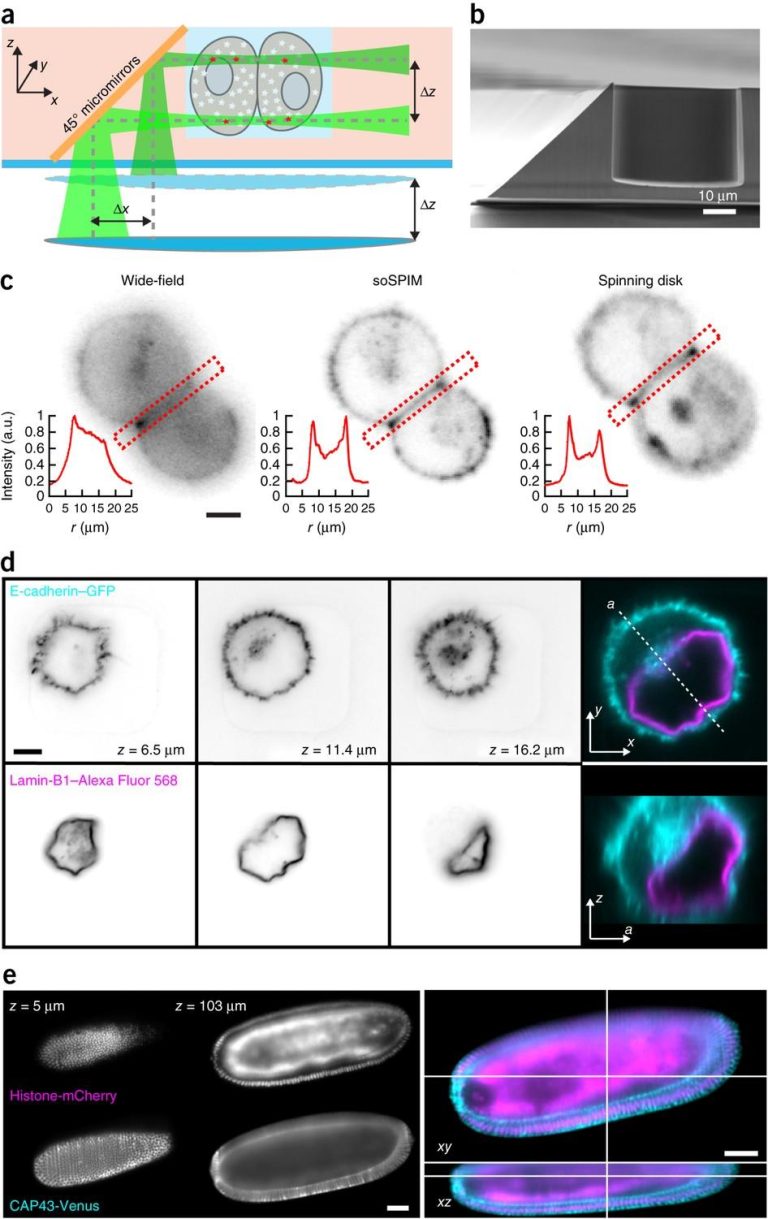 STANDEX MEDER: Precision Reed Switches and Sensors - Supreme Components International LED ...